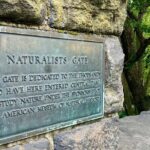 Explore Central Park and Run Along the Marathon Path - Practical Tips for Participants