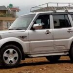 Explore Chitwan National Park in Comfort with our Private Vehicle Service - Why the Price Reflects Value