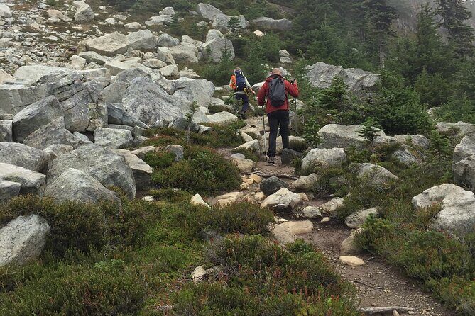 Explore Coastal Mountain Treasures: Scenic Hike from Squamish, BC - Top Highlights of the Coastal Mountain Hike