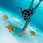 Explore El Cielo in Cozumel. Snorkel in 3 different reefs & visit Cielito Beach. - In Summary