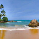 Explore Great Sri Lanka with tourist hot spots in 6 days - Who Should Consider This Tour?
