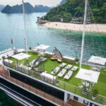Explore Halong Bay with Hercules Premium Day Cruise from harbor - Who Will Love This Tour?