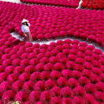 Explore Hanoi: Ceramic & Incense Villages or City Highlights - An Authentic Look at the Experience