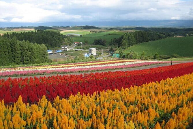 Explore Lake Shikotsu Ice Festival (night tour) - Practical Details: What You Need to Know