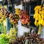 Explore Madurai's Rich Culture: Private Car & Guided Tour - Practical Details and What’s Included