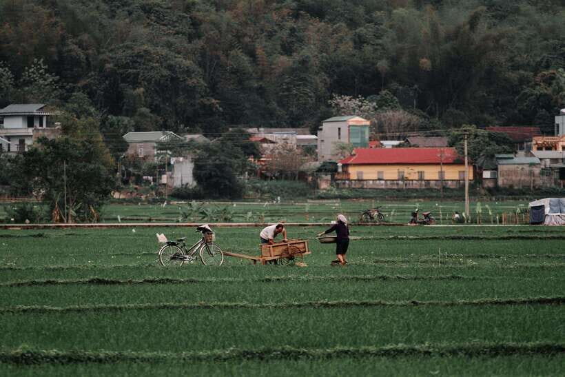 Explore Mai Chau 1 Day from Hanoi - Why This Tour Stands Out