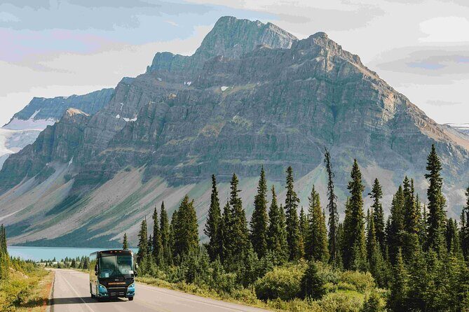 Explore Moraine and Louise Roundtrip from Banff Shared Bus Tour - What Travelers Are Saying