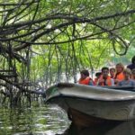 Explore Nature and Heritage in Galle from Colombo (All inclusive day tour) - Who Should Consider This Tour?