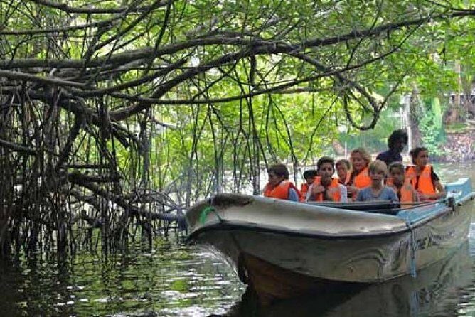 Explore Nature and Heritage in Galle from Colombo (All inclusive day tour) - Who Should Consider This Tour?