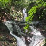 Explore Nature in Yoshino with e-Bike Tour - Why Choose This Tour?