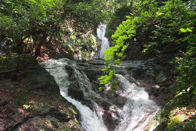 Explore Nature in Yoshino with e-Bike Tour - Why Choose This Tour?