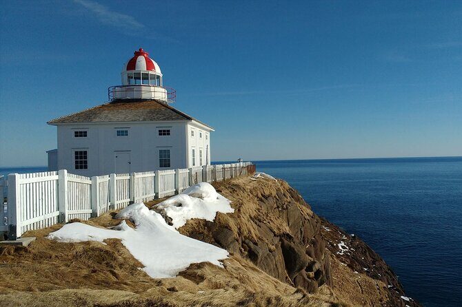 Explore Newfoundland: Audio Driving and Walking Tour Bundle - Why This Tour Offers Great Value
