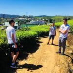 Explore Nuwara Eliya | Experience the Best Tea in the World - Who Should Book This Tour?