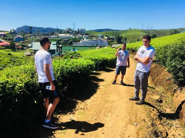 Explore Nuwara Eliya | Experience the Best Tea in the World - Who Should Book This Tour?