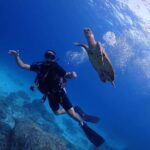 Explore Scuba Diving at Racha Yai Island from Phuket - Key Points
