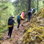 Explore Sierra Norte, Half-Day Hiking Adventure - The Sum Up: Who Is This Tour Best For?