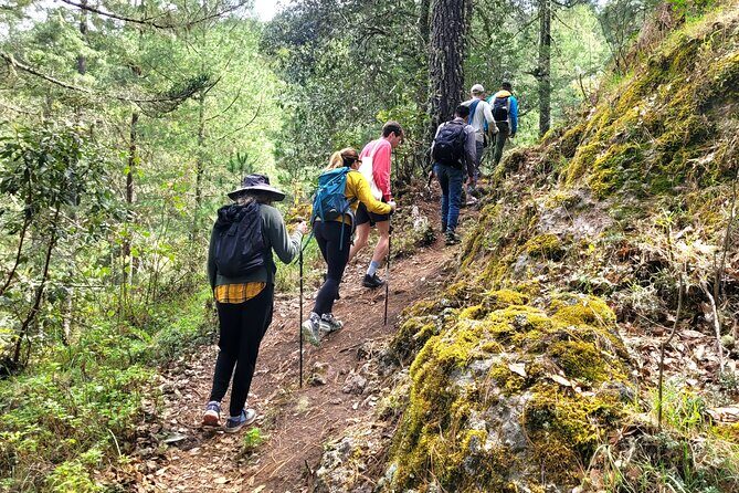 Explore Sierra Norte, Half-Day Hiking Adventure - The Sum Up: Who Is This Tour Best For?