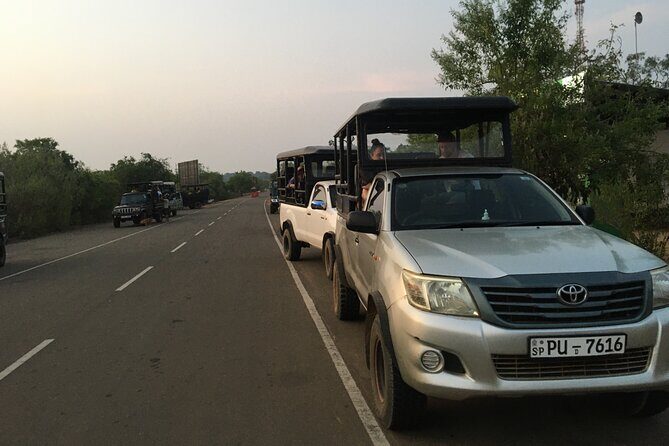 Explore Srilanka in 9 Nights 10 Days - Final Thoughts: Is This Tour Right for You?