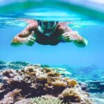 Explore Surin Islands: Ultimate Snorkeling Day Trip from Phuket - Introduction: Your Guided Trip to Thailand’s Marine Wonderland