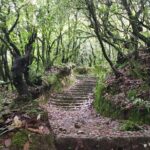 Explore the Beauty of Champa Devi: A Rewarding Hiking Experience - What Travelers Say: Authentic Perspectives