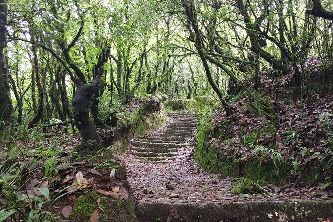 Explore the Beauty of Champa Devi: A Rewarding Hiking Experience - What Travelers Say: Authentic Perspectives