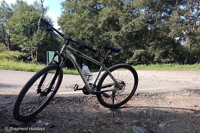 Explore the Mystic Kathmandu and Surroundings - Day 3: Exploring Bhaktapur and Namobuddha