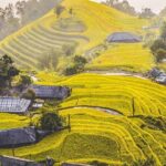 Explore The North Of Vietnam In 12 Days Package - Authentic Insights from Reviews