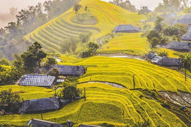 Explore The North Of Vietnam In 12 Days Package - Authentic Insights from Reviews