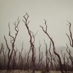 Explore the Wonders of Garut from Bandung - 2D1N - Transportation and Group Size