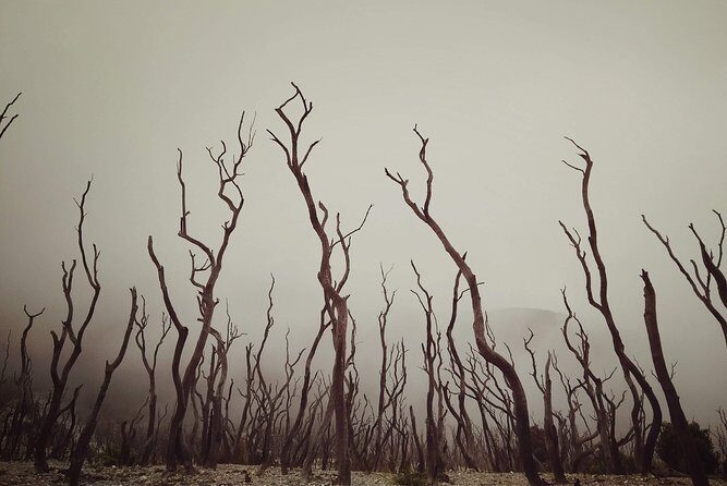 Explore the Wonders of Garut from Bandung - 2D1N - Transportation and Group Size