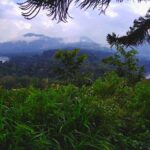 Explore Twin Lake Jungle Trekking and Canoeing - Authentic Experiences and Genuine Value