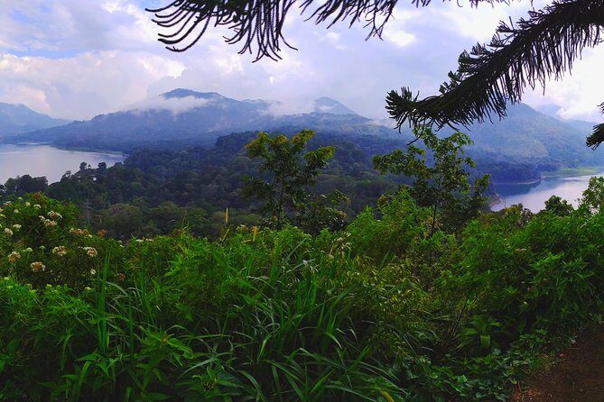 Explore Twin Lake Jungle Trekking and Canoeing - Authentic Experiences and Genuine Value