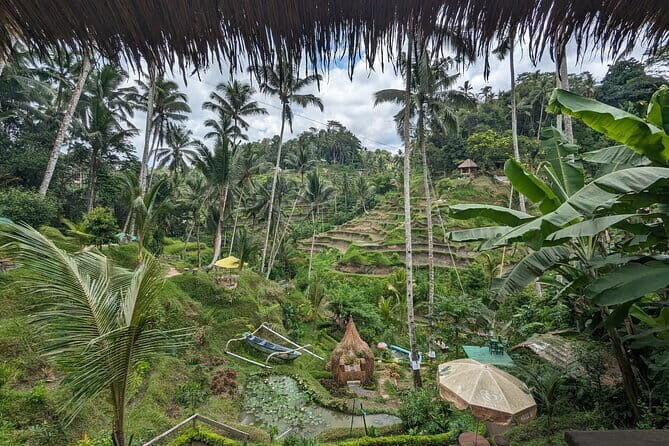 Explore Ubud Art Market, Monkey Forest and Rice Terraces - What It Means for You as a Traveler