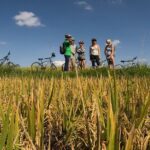 Explore Ubud with Electric Bike - Top Highlights of the Tour