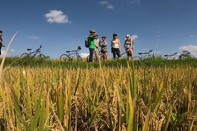 Explore Ubud with Electric Bike - Top Highlights of the Tour