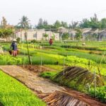 Exploring Biking and Eco tour with Cooking Class Tra Que Village - Practical Tips for Participants