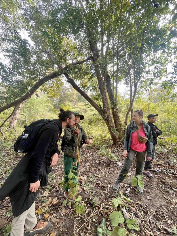 Exploring Don Village & Yok Don National Park - Practicalities and Tips for Travelers