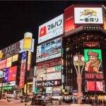 Exploring Hokkaido Nightlife Susukino Evening Walking Tour - Overall Value and Experience