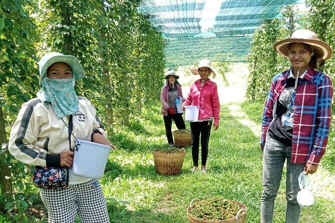 Exploring Kampot: A Memorable Tour from Sihanoukville - Transportation & Duration