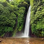 Exploring Munduk Village (Waterfalls, rice terrace, Traditional local house) - Who Will Love This Tour?
