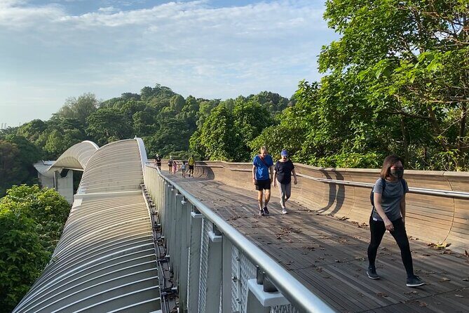 Exploring Singapores Forgotten Hills - Why This Tour Works—And Why It Might Not