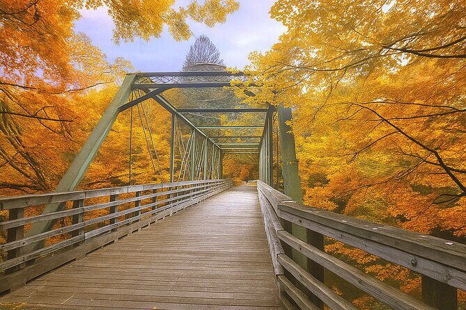 Fall Foliage Scenic Day Trip to Vermont and Western MA with Stops - Authentic Feedback and Highlights