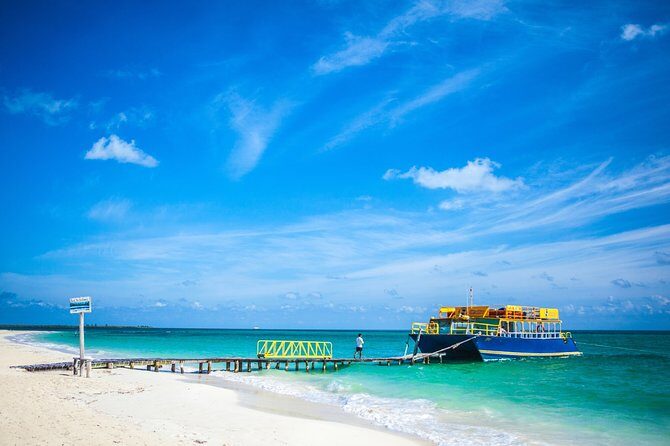 Fall in love with the Holbox island tour, Punta Mosquito & lunch. - What’s Included and What’s Not