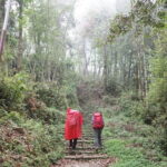 Family-Friendly Trekking: 3 Days Dhampus and Australian Camp - Practical Details and Value