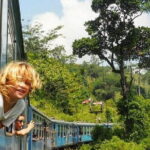 Family Getaway With Kingfisher Tours | 8 Days - Who Will Love This Tour?
