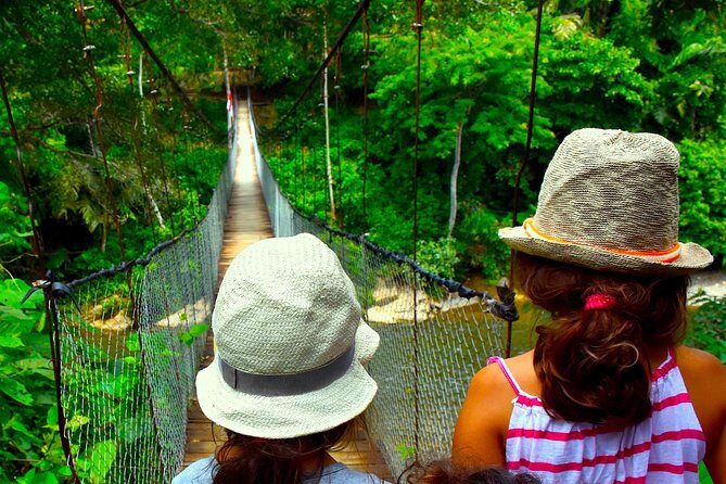 FAMILY JUNGLE TOUR: Orangutan Trek (4-hours hike) by EcoTravel Bukit Lawang - What Makes the Experience Stand Out?
