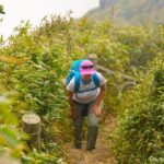 Fansipan Mountain Trekking 2 days 1 night - Authentic Experiences and Practical Tips