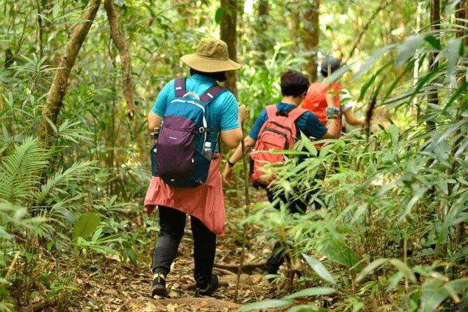 Fansipan Trek One Day Tour  Roof of Indochina - Returning and Rest of the Day
