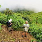 Fansipan Trekking 3 Days 2 Nights - Why You’ll Love This Experience