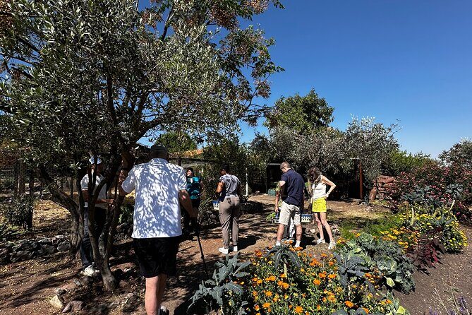 Farm to Table Cooking Experience in San Miguel - The Cooking Station: Learning Mexican Techniques